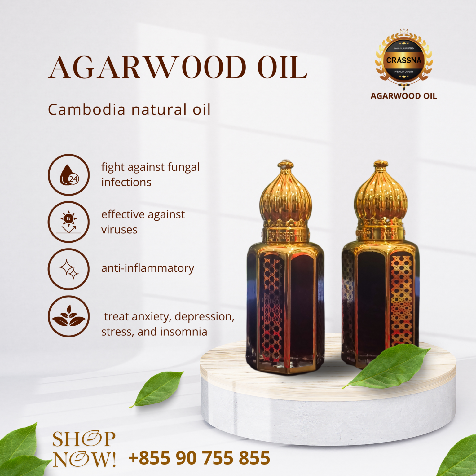 PG Agarwood Oil www.wall-gate.com | Pure Oud Essence